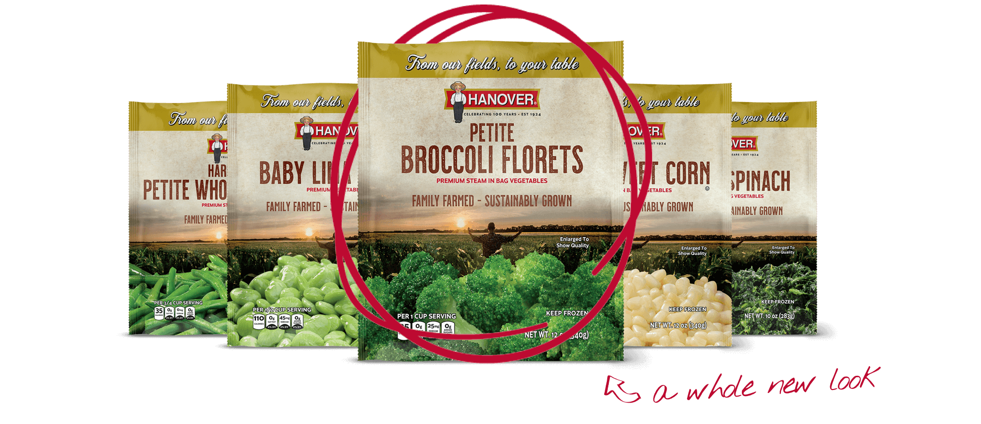 Hanover Foods Canned & Frozen Vegetables: Freshness from Farm to Table