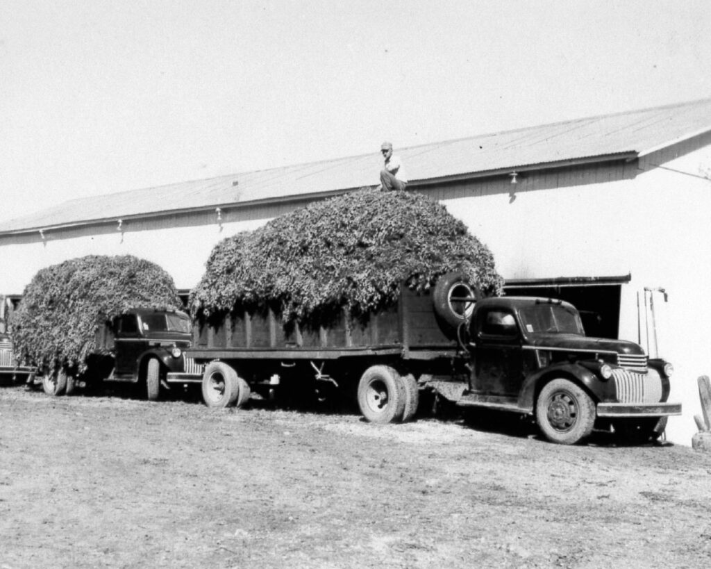 Hanover Foods: Nourishing Generations with Quality & Flavor | Our History